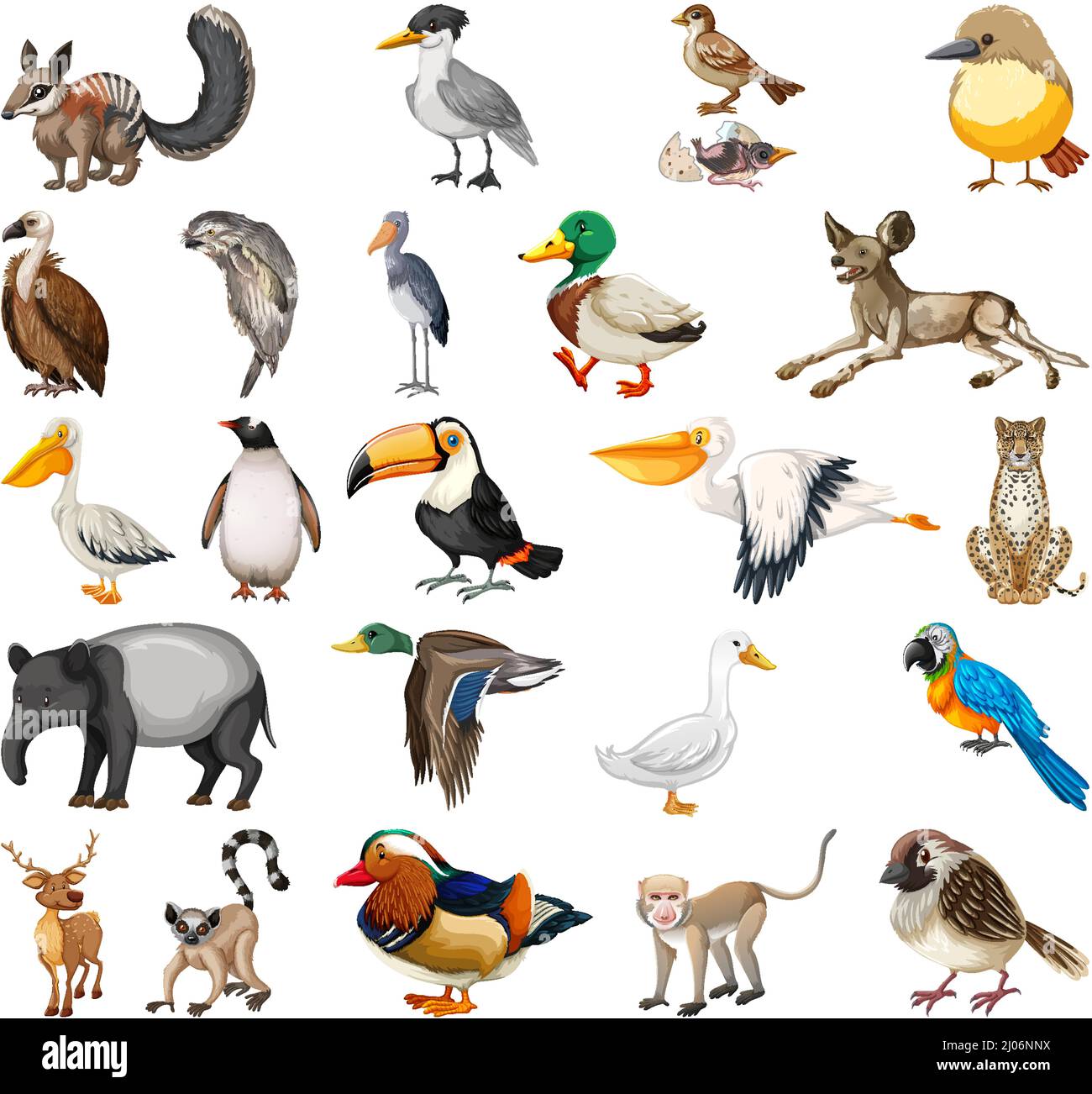 Different kinds of animals collection illustration Stock Vector Image ...