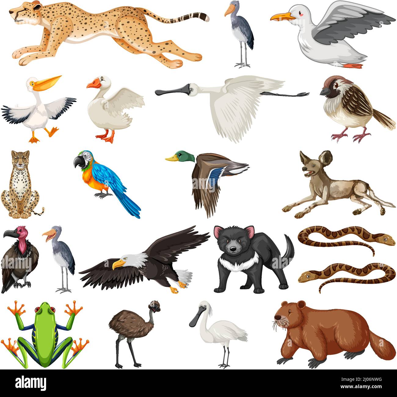 Different kinds of animals collection illustration Stock Vector Image ...
