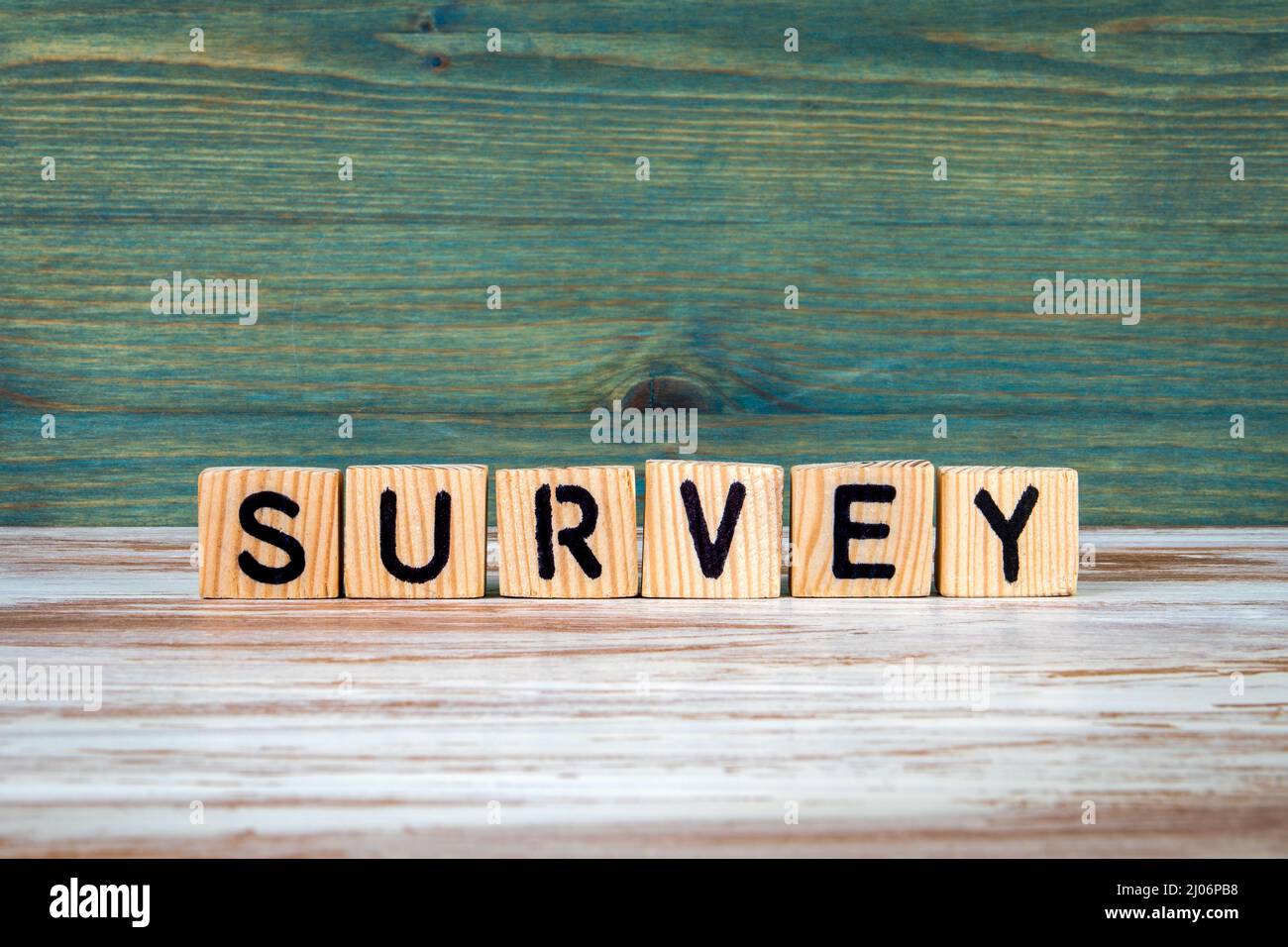 SURVEY. Text from alphabet blocks on a white and green wood texture ...