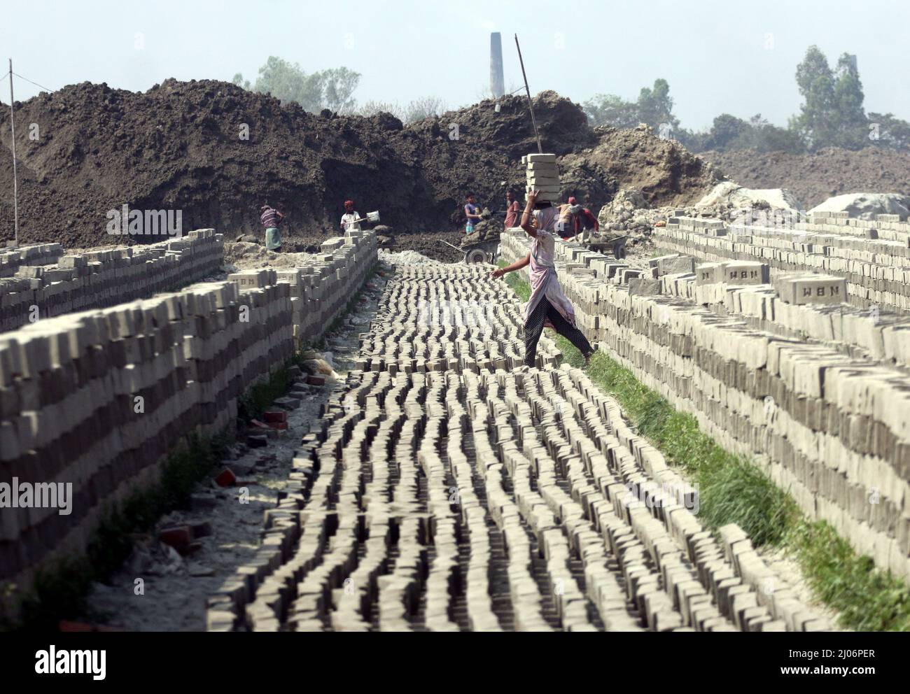 Workers transport bricks on their heads at a brick factory. Due to the ...