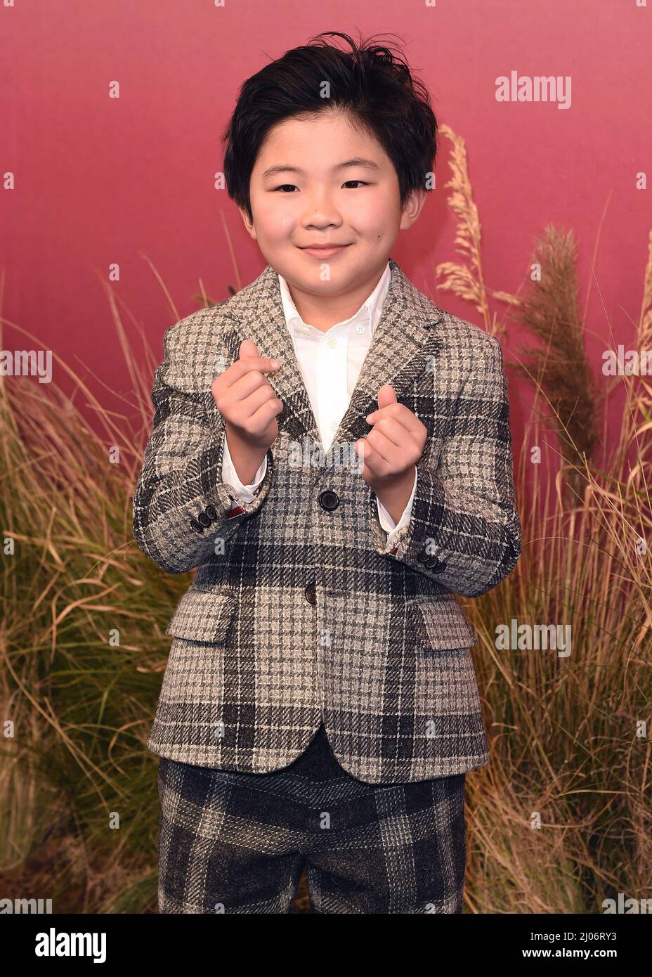Alan Kim on the red carpet at Apple's "Pachinko" Global Premiere Event ...