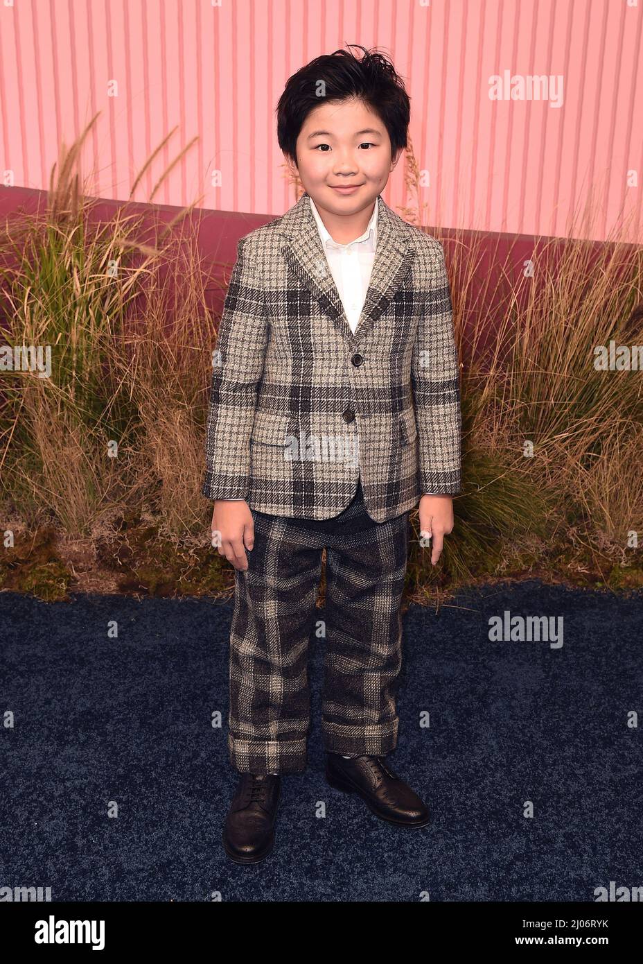 Alan Kim on the red carpet at Apple's "Pachinko" Global Premiere Event ...