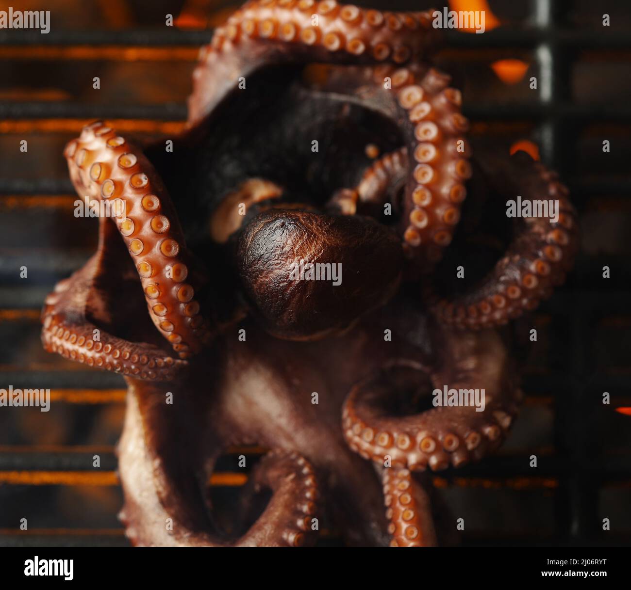 Macro shot. Big octopus on a hot grill. The concept is cooking dishes ...
