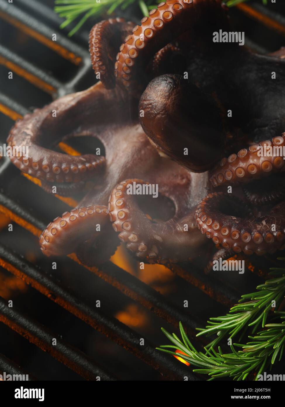 Macro shot. Octopus is grilled. Fire, smoky background. Cooking exotic ...