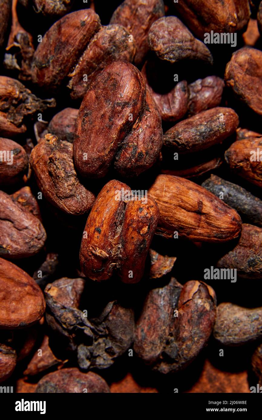 Flat lay macro unpeeled cocoa bean, top view, Whole coco seeds close up ...