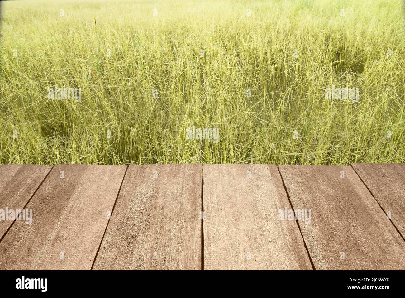 Wooden table with green grass field background Stock Photo - Alamy