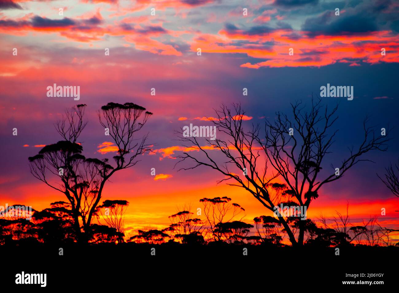 Sunrise in the Outback - Australia Stock Photo - Alamy