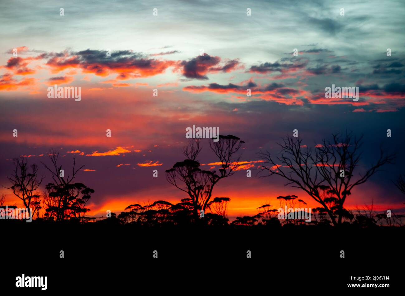 Sunrise in the Outback - Australia Stock Photo - Alamy
