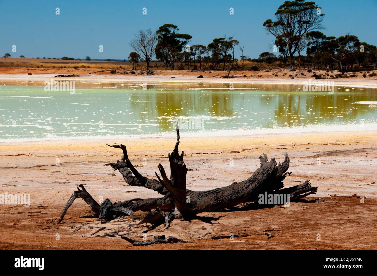 Salt Lake - Western Australia Stock Photo - Alamy