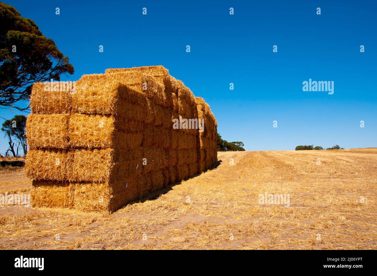 Hay bale field australia hi-res stock photography and images - Alamy