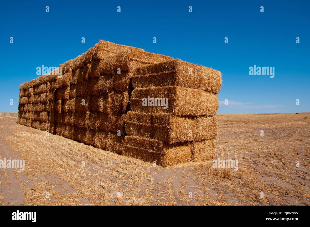 Straw Bales in the Field Stock Photo - Alamy