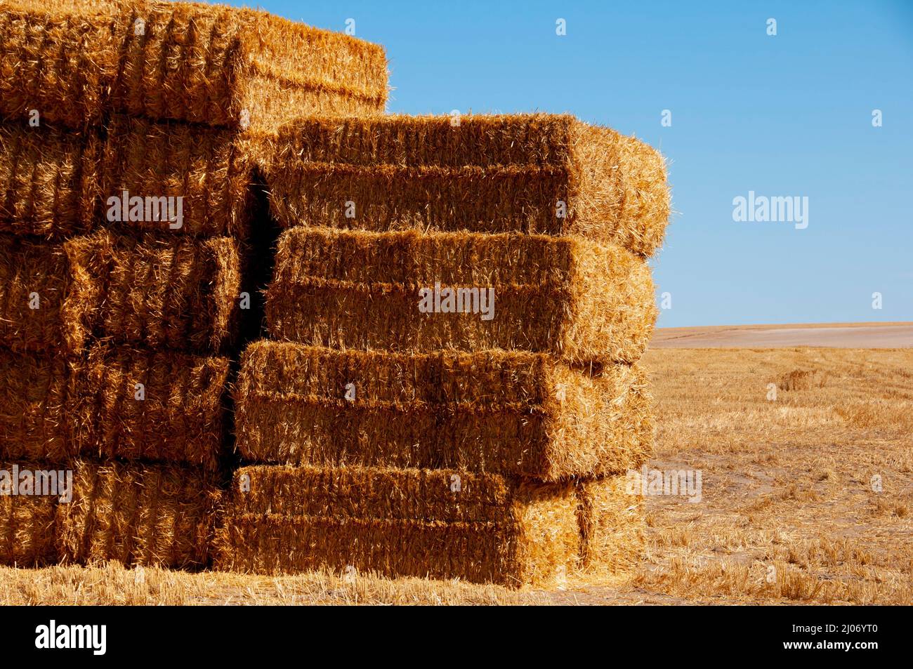 Straw Bales in the Field Stock Photo - Alamy