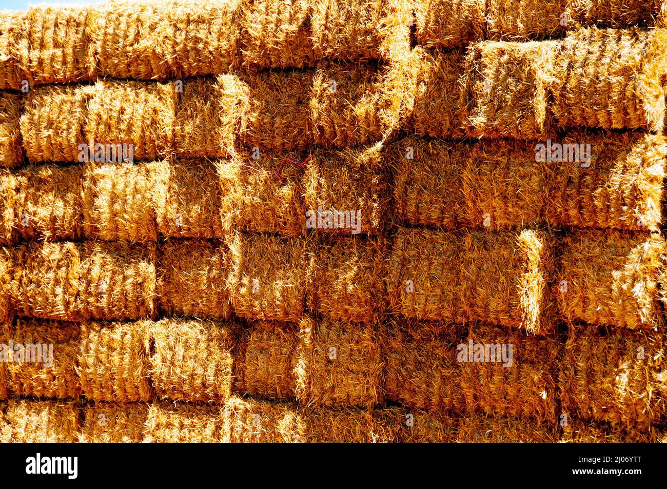 Straw Bales in the Field Stock Photo - Alamy