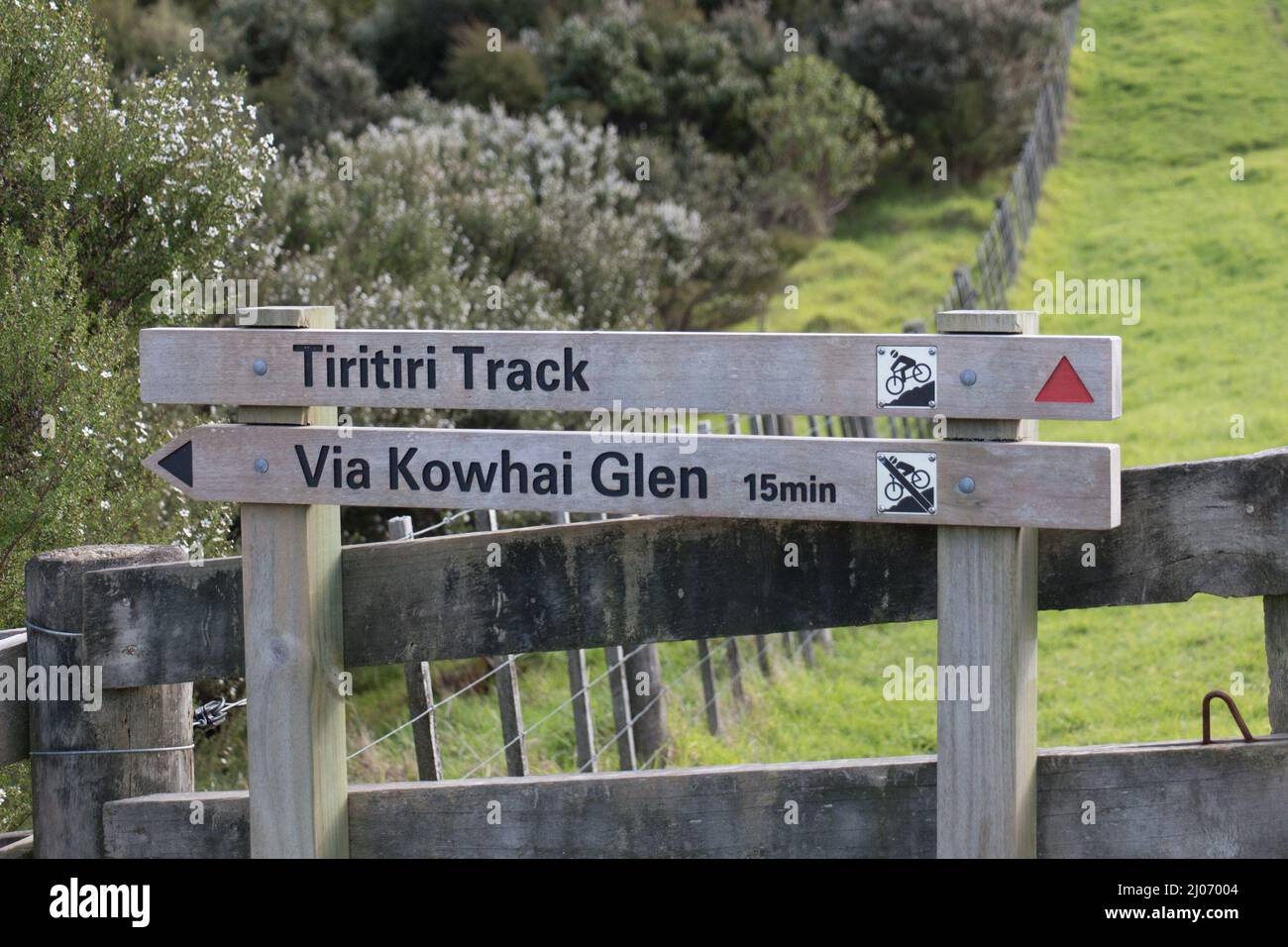 The veiw of wooden track pointer at Shakespear Regional Park, New ...