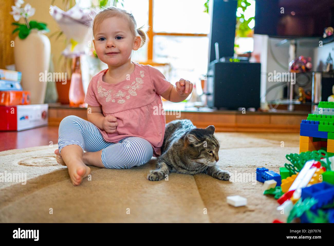 Unhappy cat hi-res stock photography and images - Alamy
