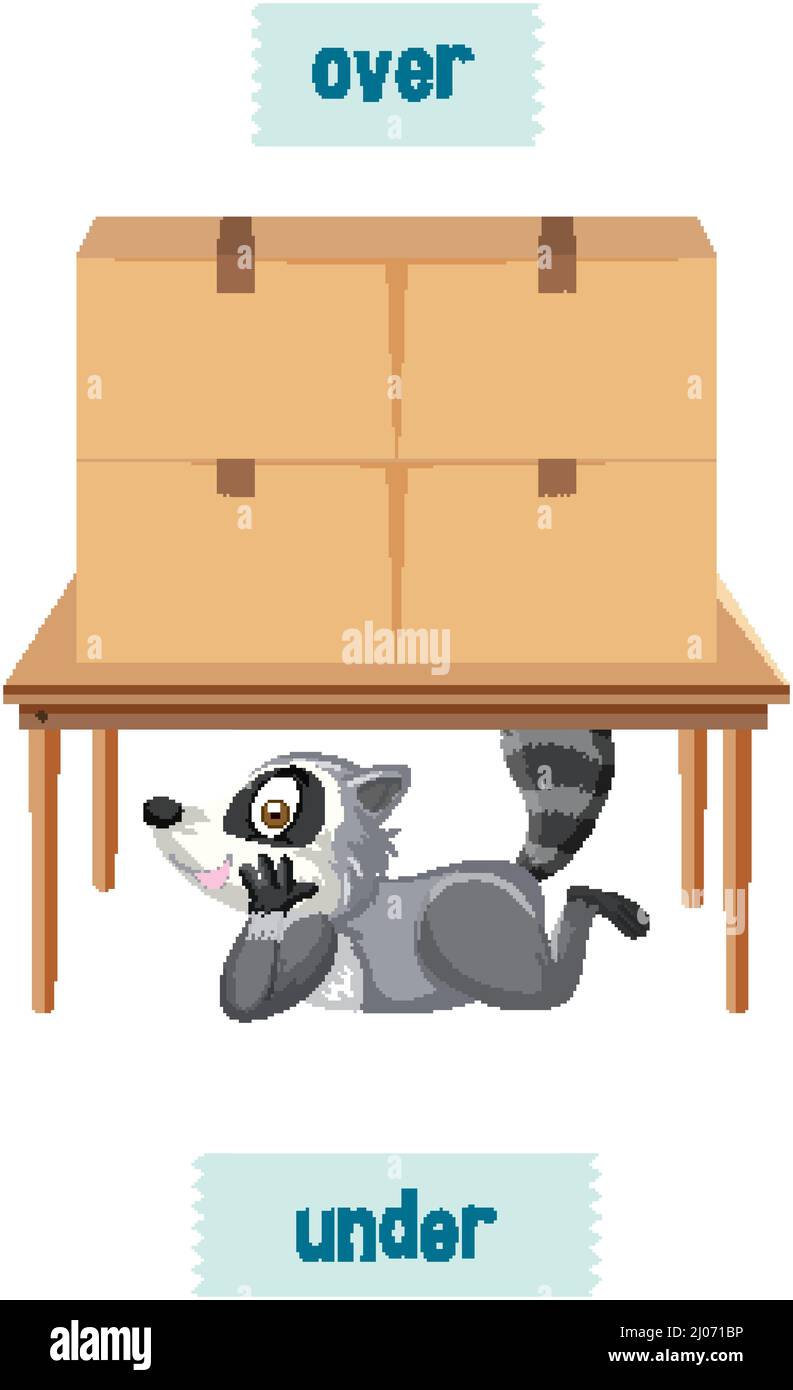 English prepositions with raccoons and box under and over the table ...