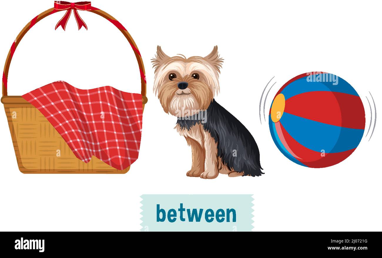 Preposition wordcard with dog and ball illustration Stock Vector Image ...