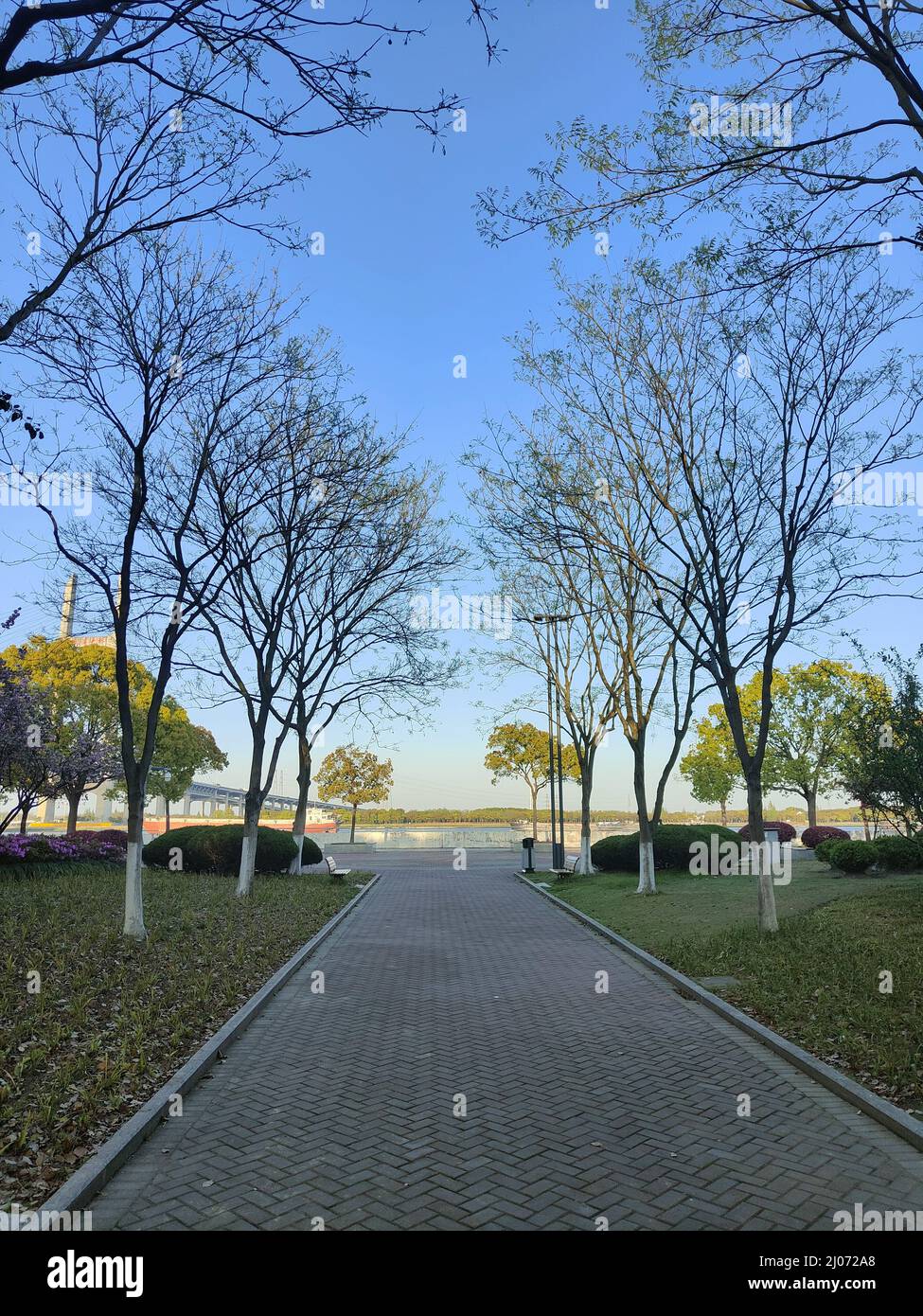 Way with trees in a park against a clear sky Stock Photo - Alamy