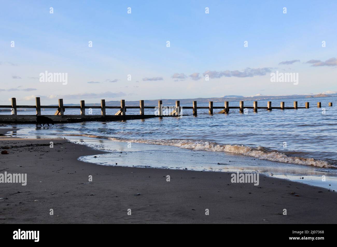 Wooden Groynes at Portobello Beach in Edinburgh Scotland Stock Photo ...