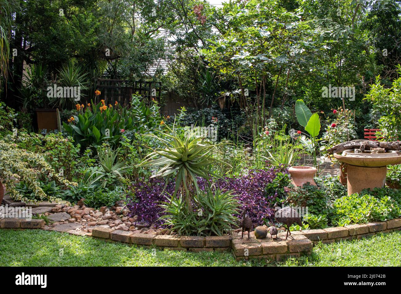 Urban residential garden setting during summer on the Gauteng Highveld ...