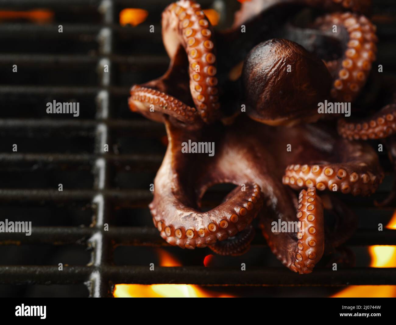 Seafood and cooking.Octopus on a hot grill grate, frying and cooking ...