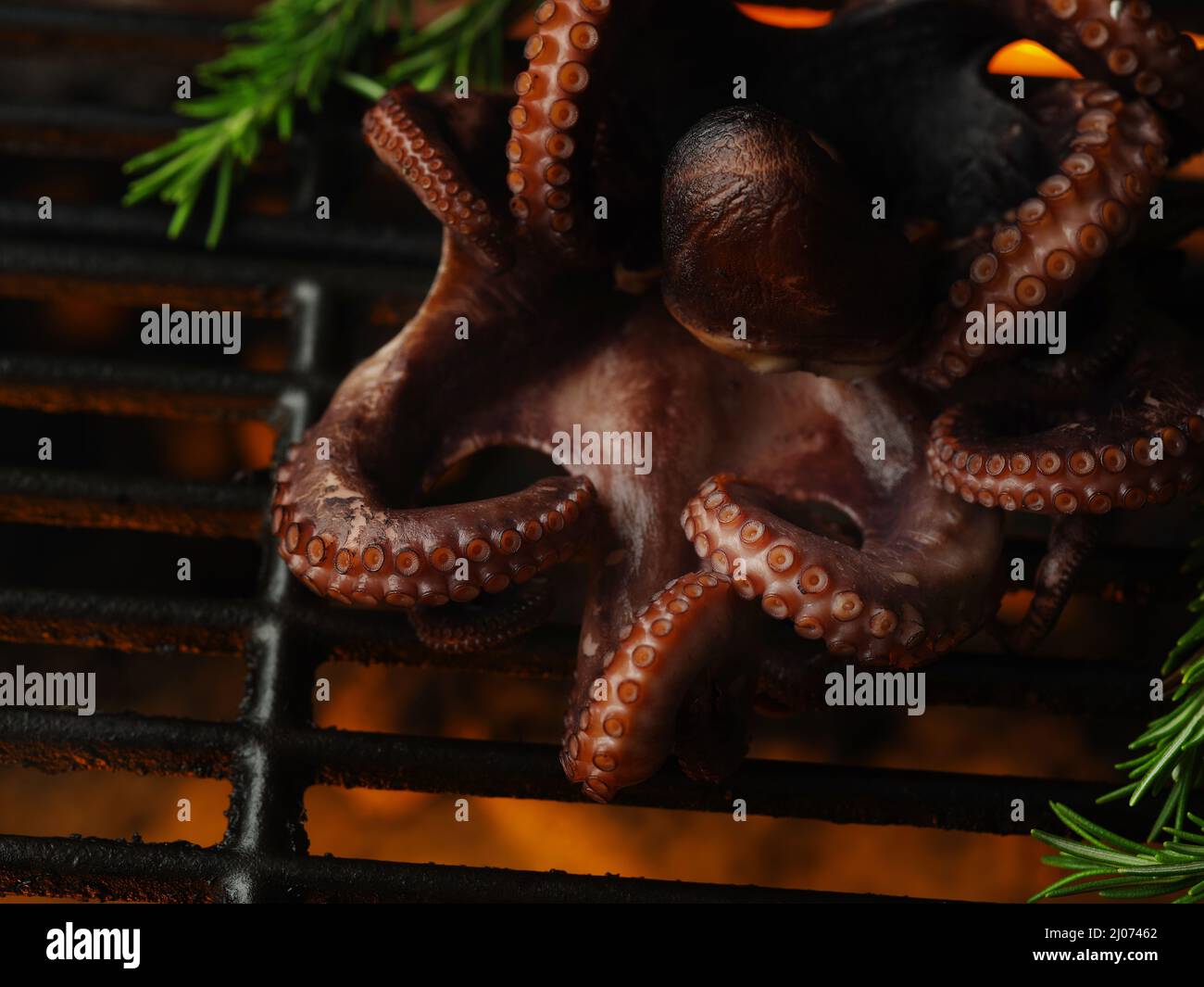 Octopus on grill under fire with rosemary.Seafood, cooking seafood ...