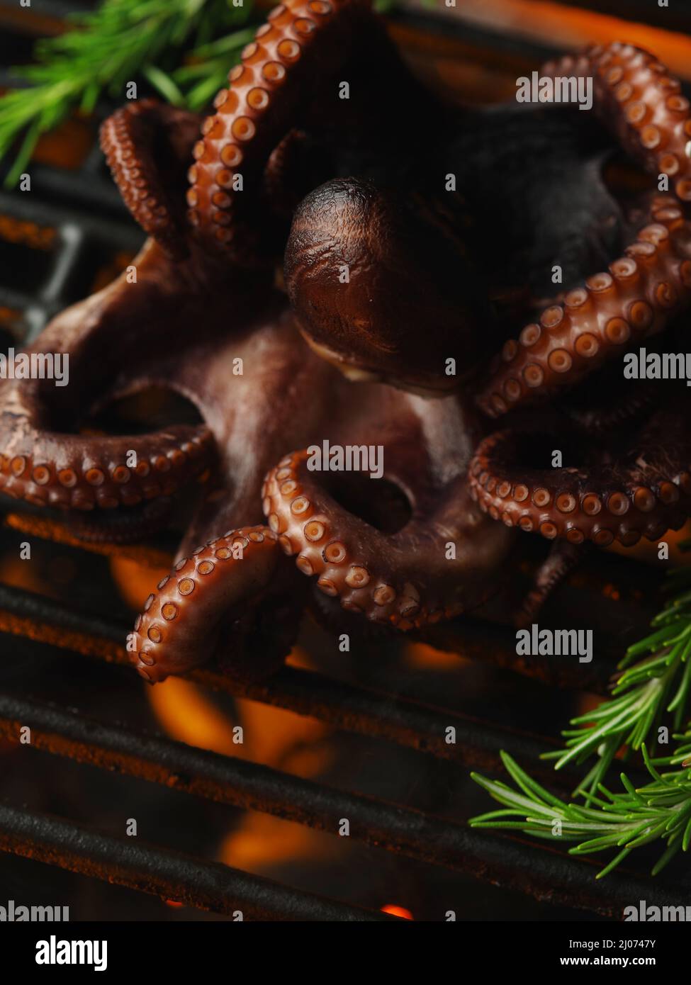 Octopus on grill under fire with rosemary.Seafood, cooking seafood ...