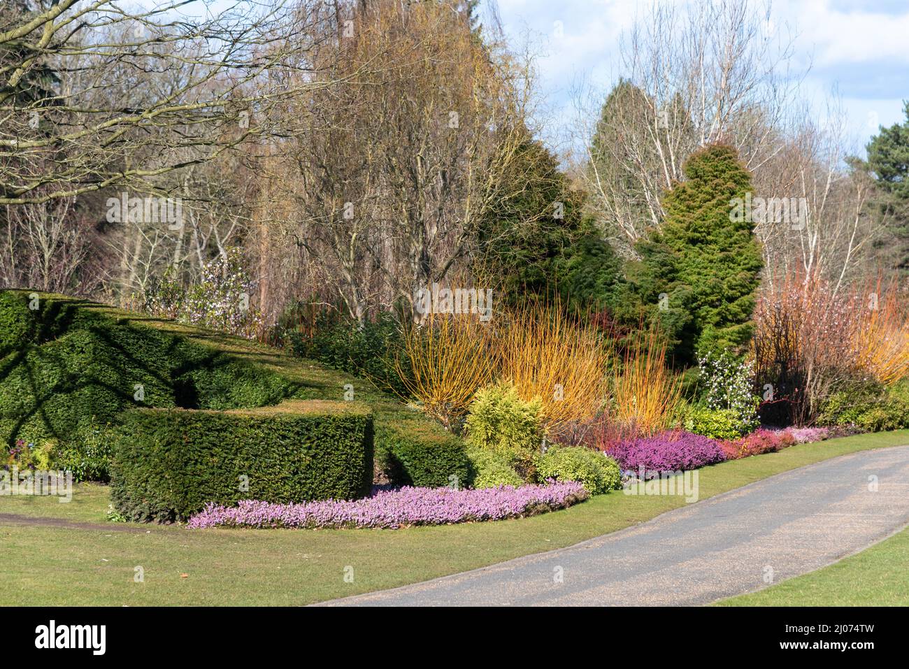 Colourful winter garden scene Stock Photo - Alamy