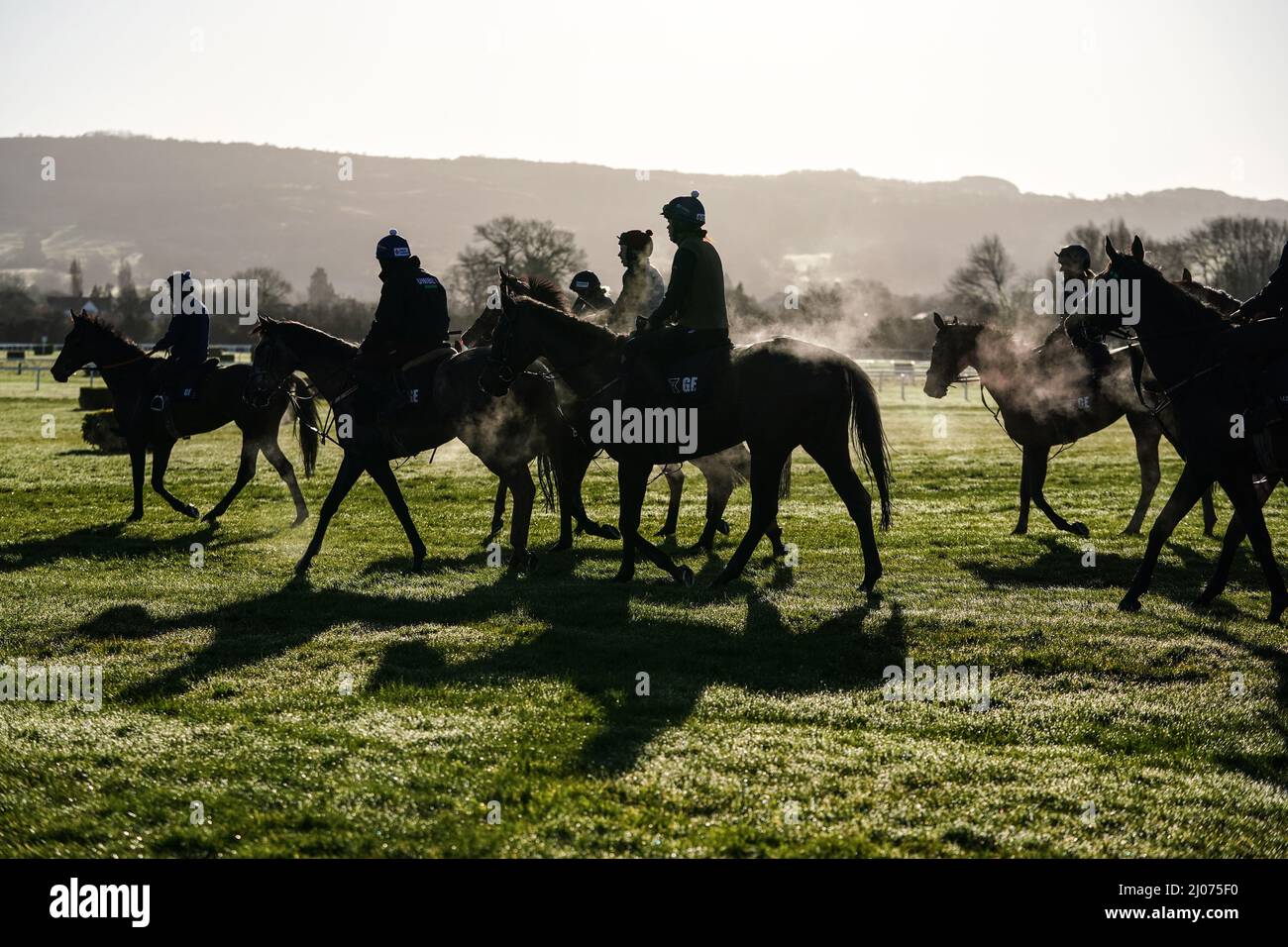 Horses from gordon elliott's stables on the gallops during day three of ...
