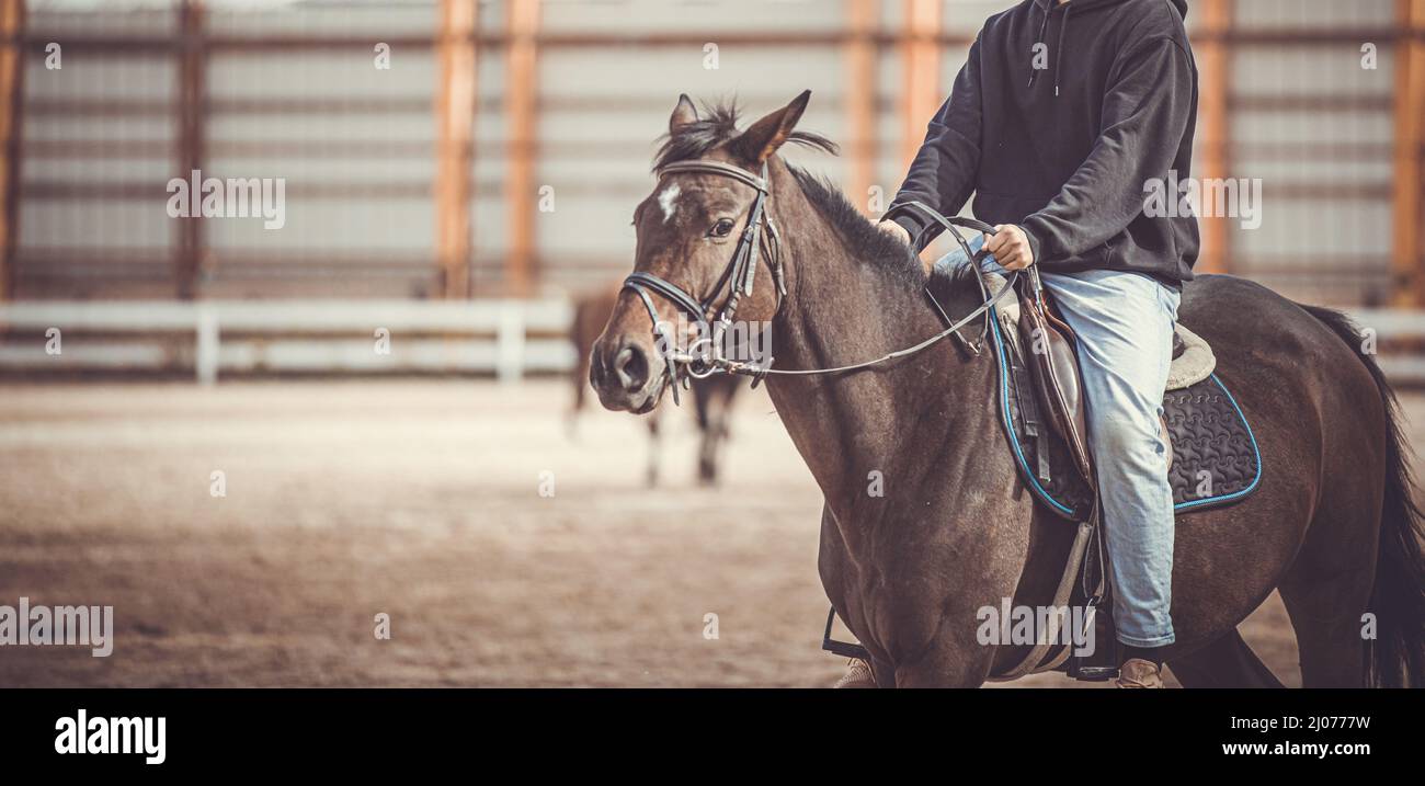 Closeup of the rider on the back of a brown horse. Horseback riding ...