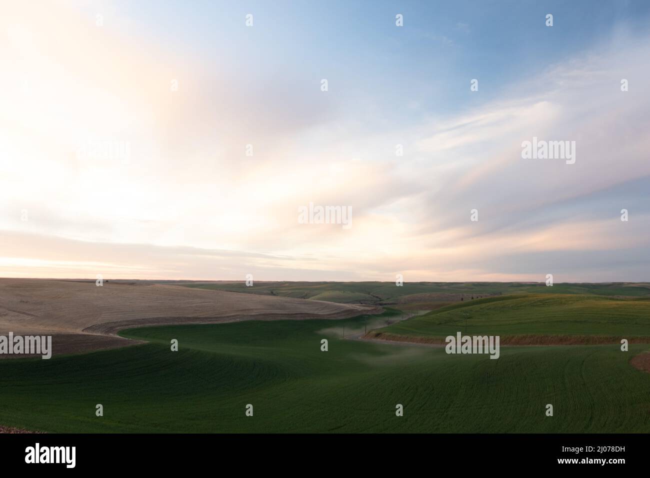 Photo of big field going to horizon Stock Photo - Alamy