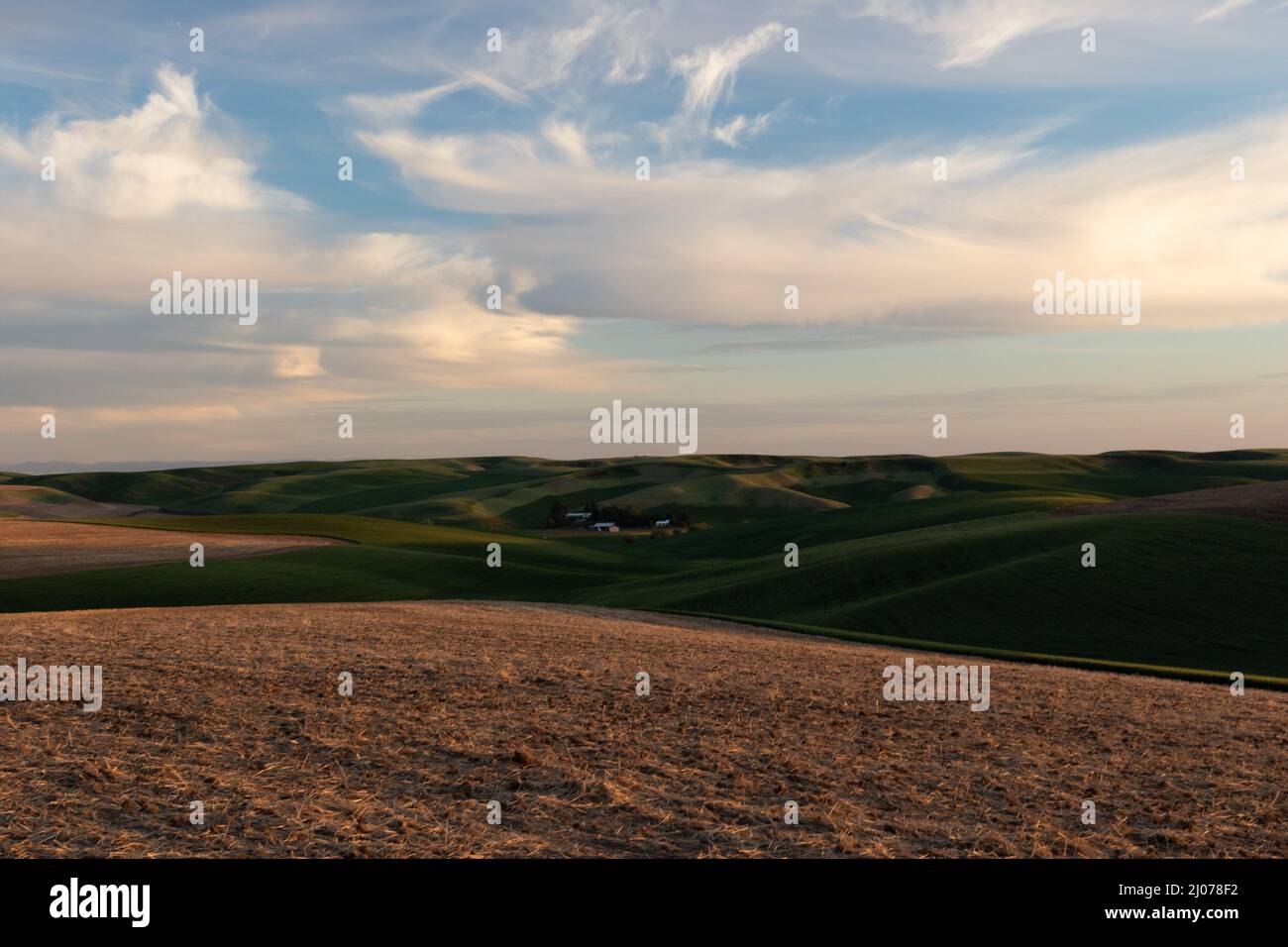 Photo of big field going to horizon Stock Photo - Alamy