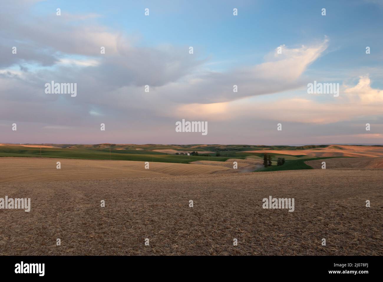 Photo of big field going to horizon Stock Photo - Alamy