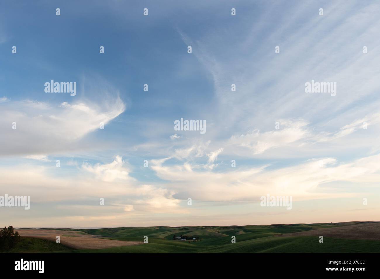 Photo of big field going to horizon Stock Photo - Alamy