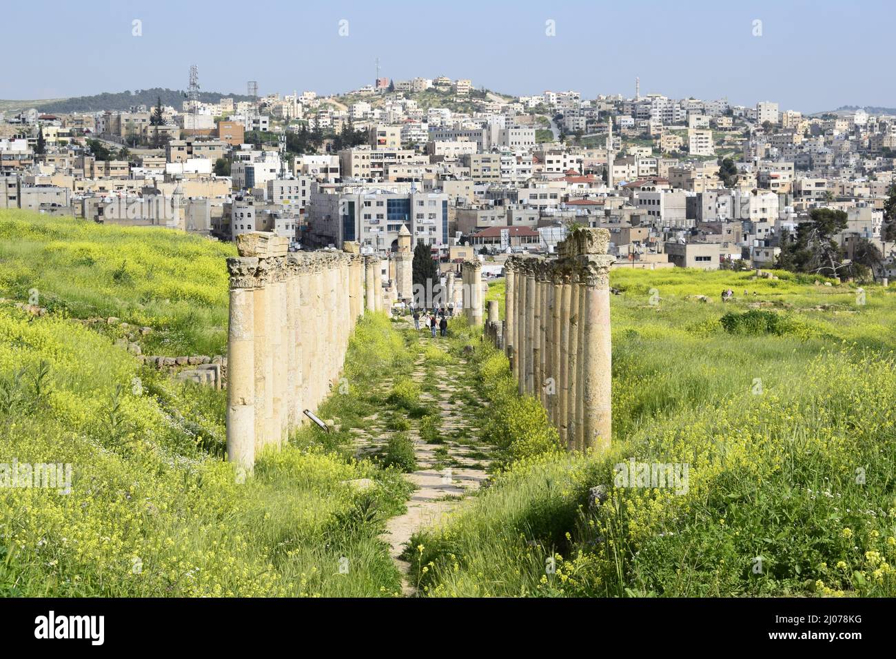 Jerash columns hi-res stock photography and images - Alamy