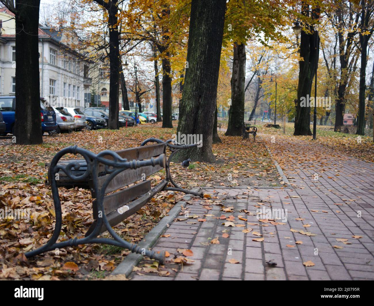 an destroyed park bench next to a sidewalk Stock Photo - Alamy
