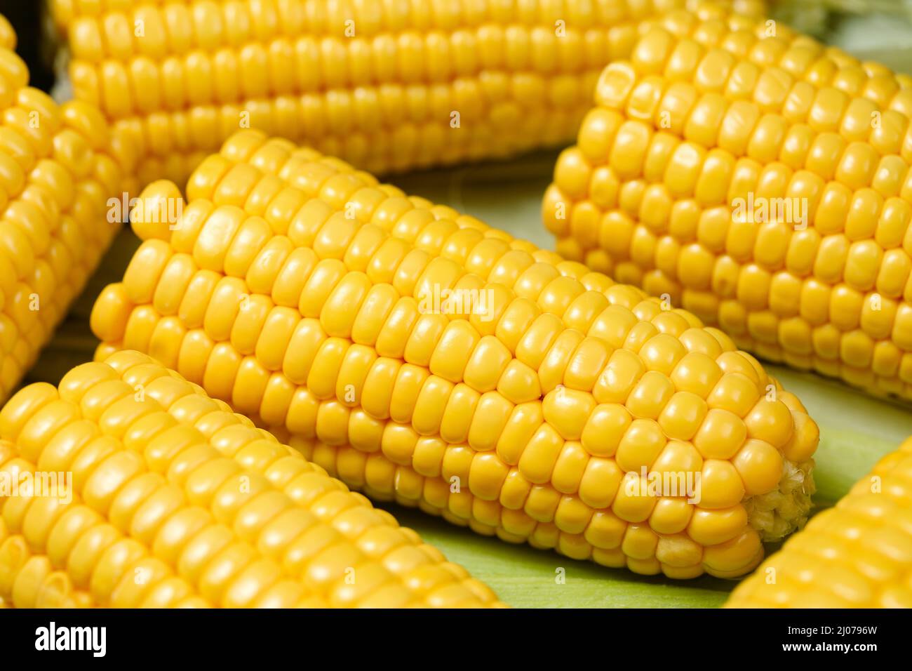 Close up of resh, organic, uncooked halved slices of maize on their ...