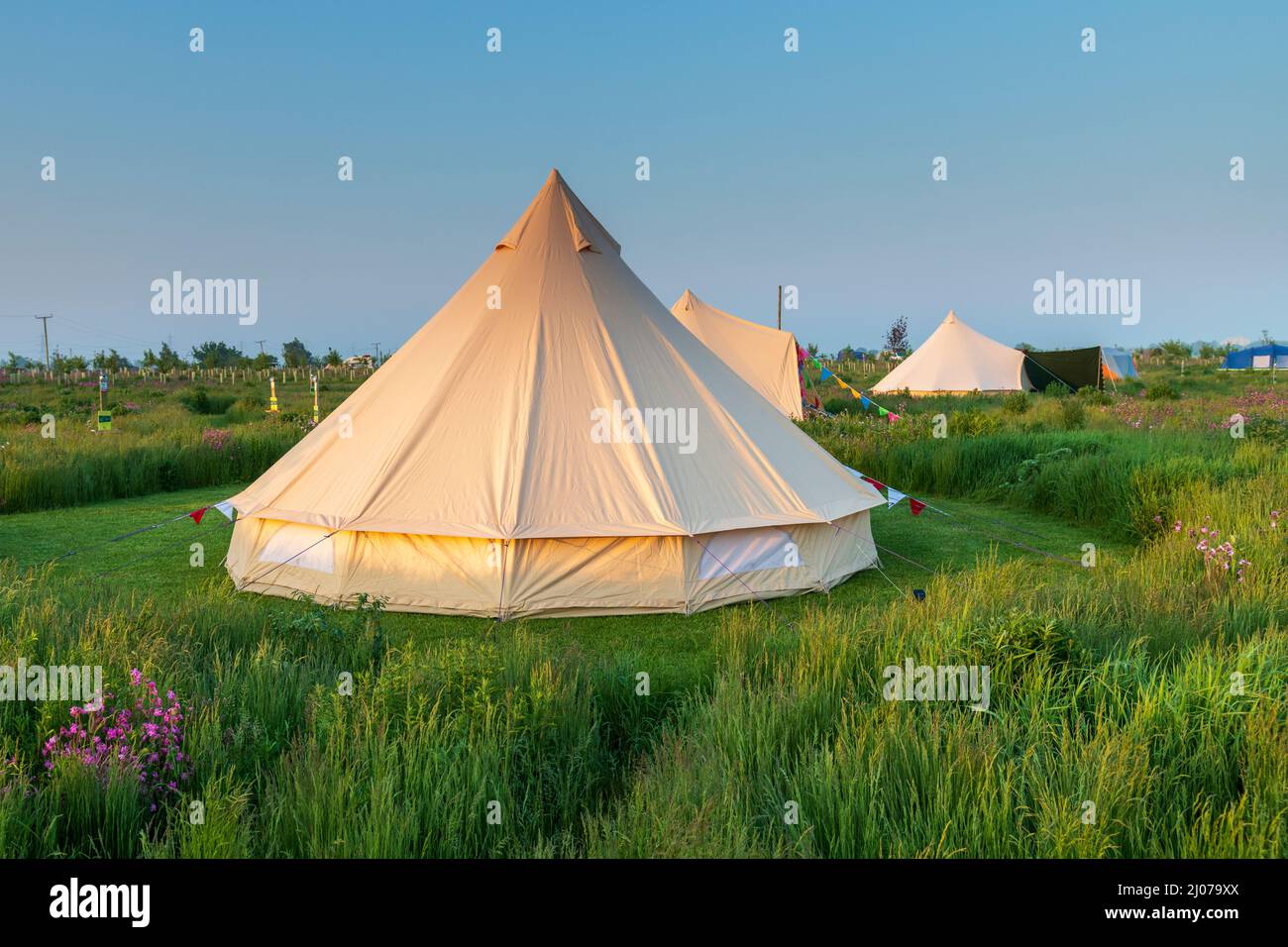 Bell Tents in Field Stock Photo - Alamy