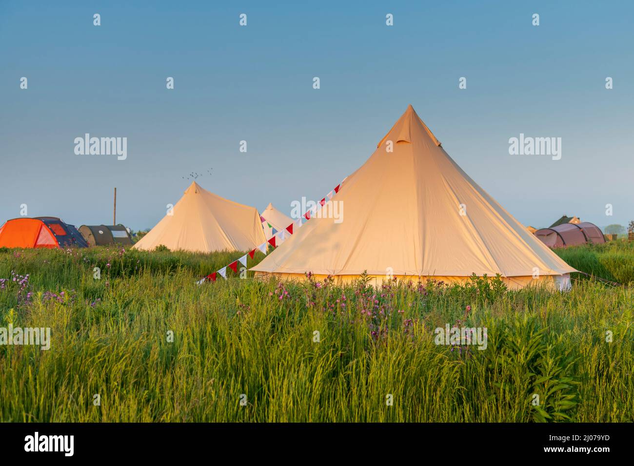 Bell Tents in Field Stock Photo - Alamy