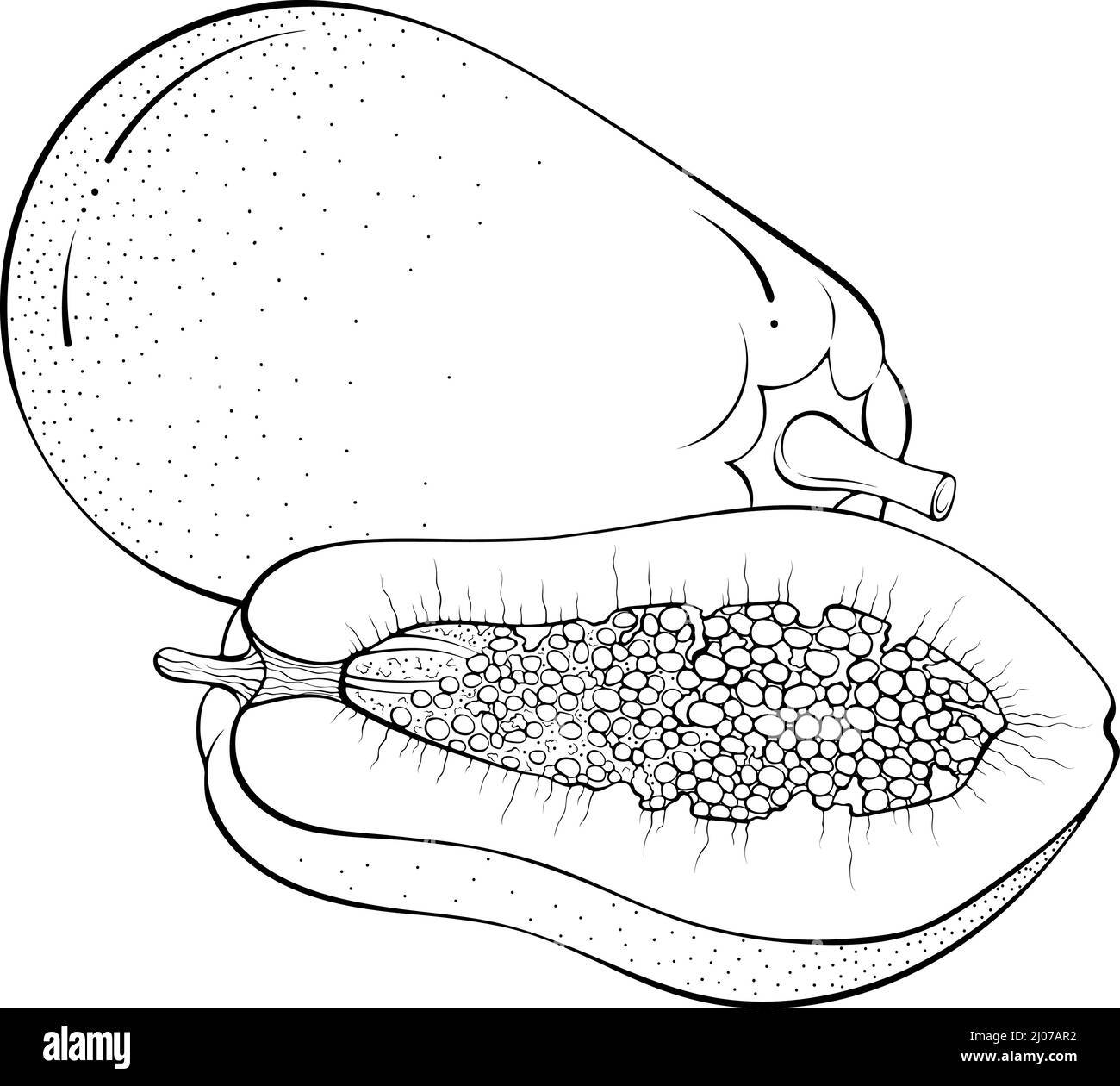 Half and whole papaya Stock Vector Image & Art - Alamy
