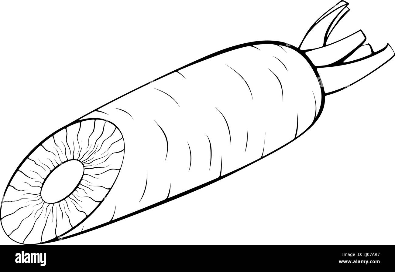 Carrot coloring page print Cut Out Stock Images & Pictures - Alamy
