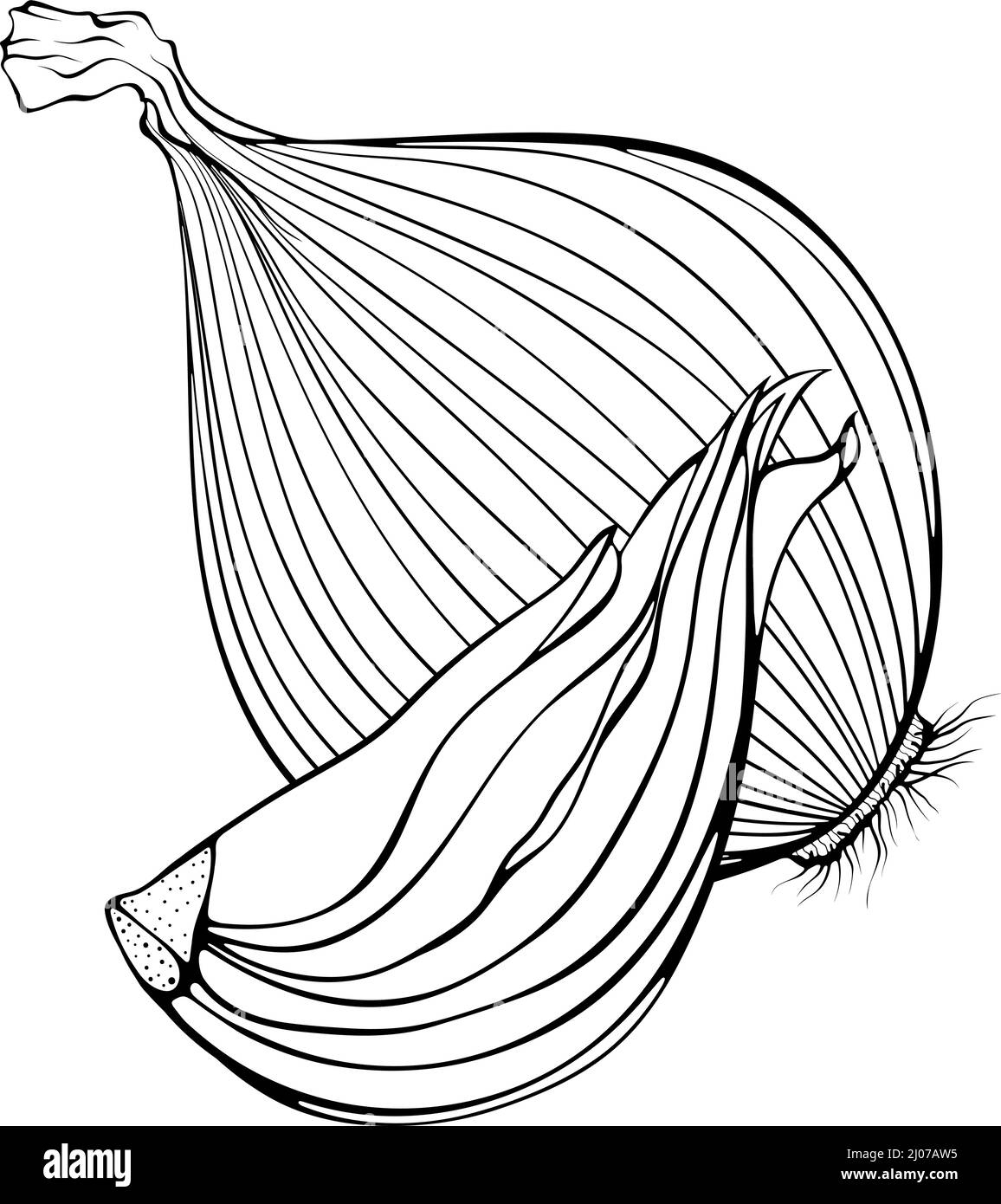 Whole half quarter Black and White Stock Photos & Images - Alamy