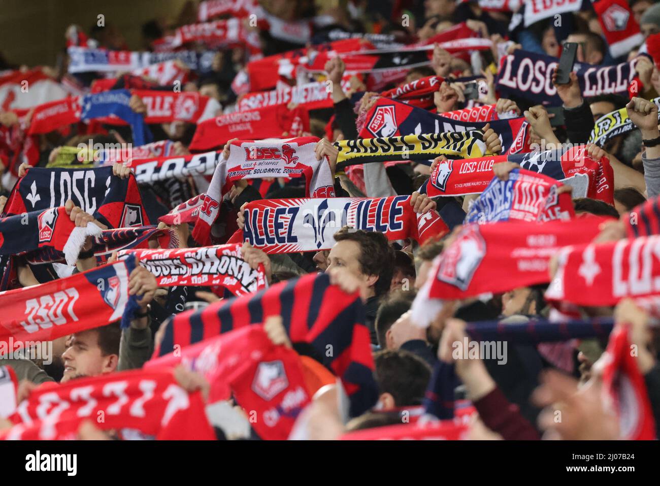 Losc lille supporters hi-res stock photography and images - Alamy