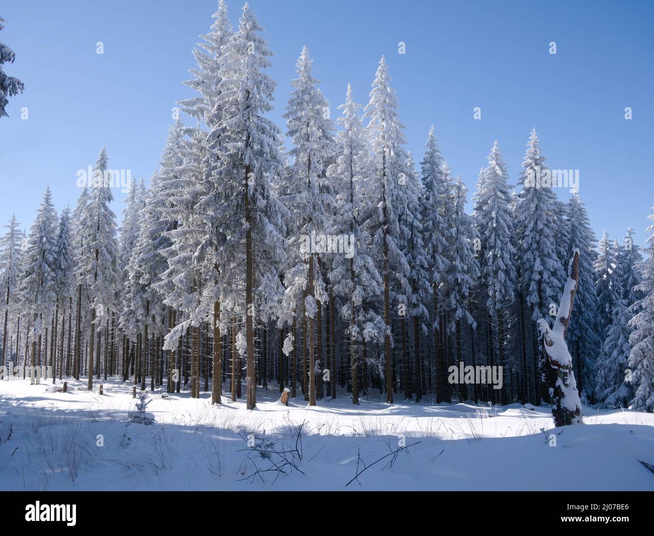 Snow biome hi-res stock photography and images - Alamy