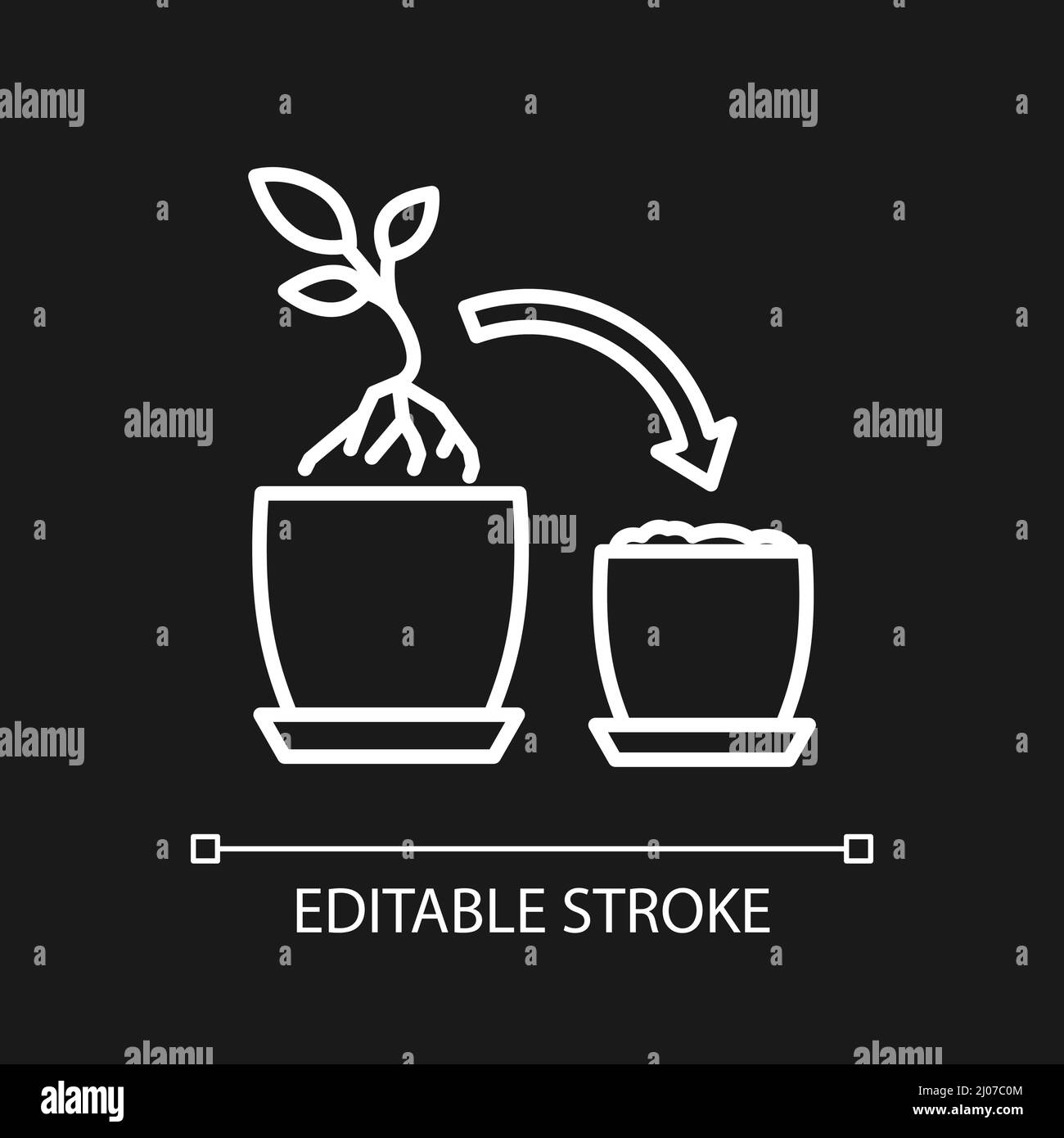 Repotting houseplant Black and White Stock Photos & Images - Alamy