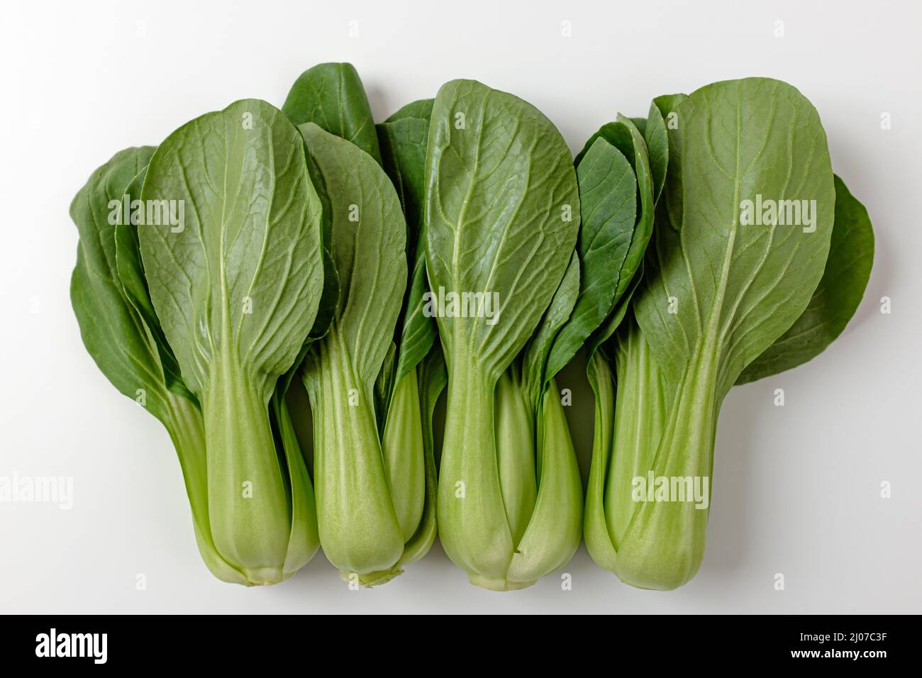 Bok choy plant hi-res stock photography and images - Alamy