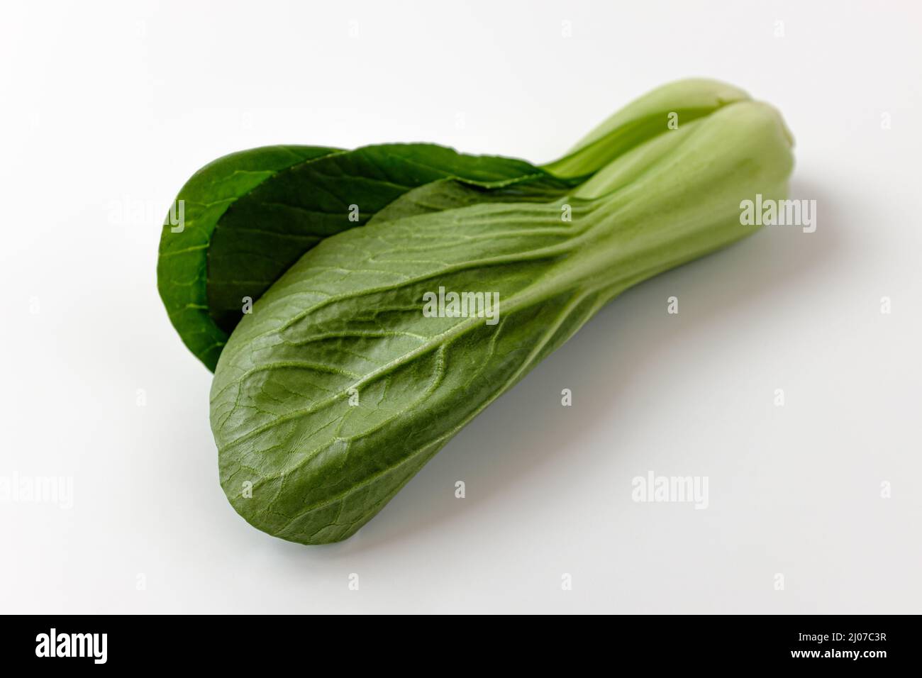 Bok choy plant hi-res stock photography and images - Alamy