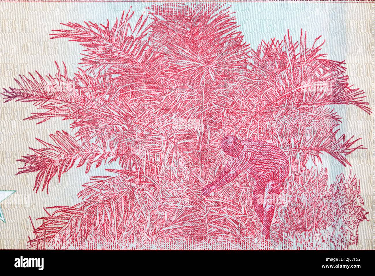 Liberia plantation hi-res stock photography and images - Alamy
