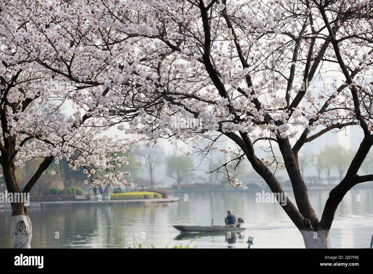 Nanjing, Nanjing, China. 17th Mar, 2022. On March 16, 2022, in Nanjing ...