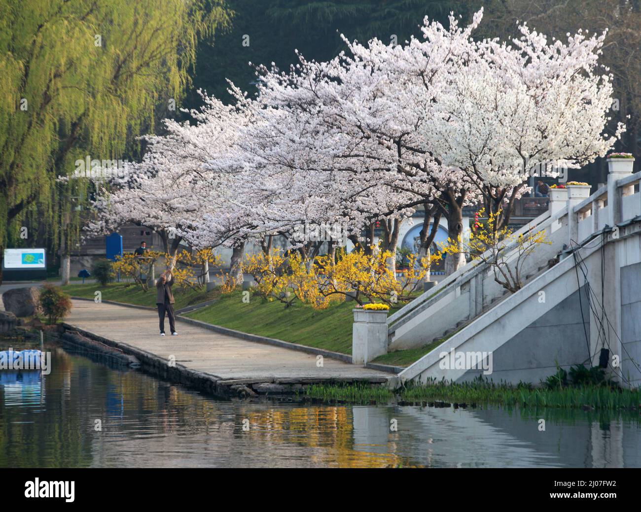 Nanjing, Nanjing, China. 17th Mar, 2022. On March 16, 2022, in Nanjing ...
